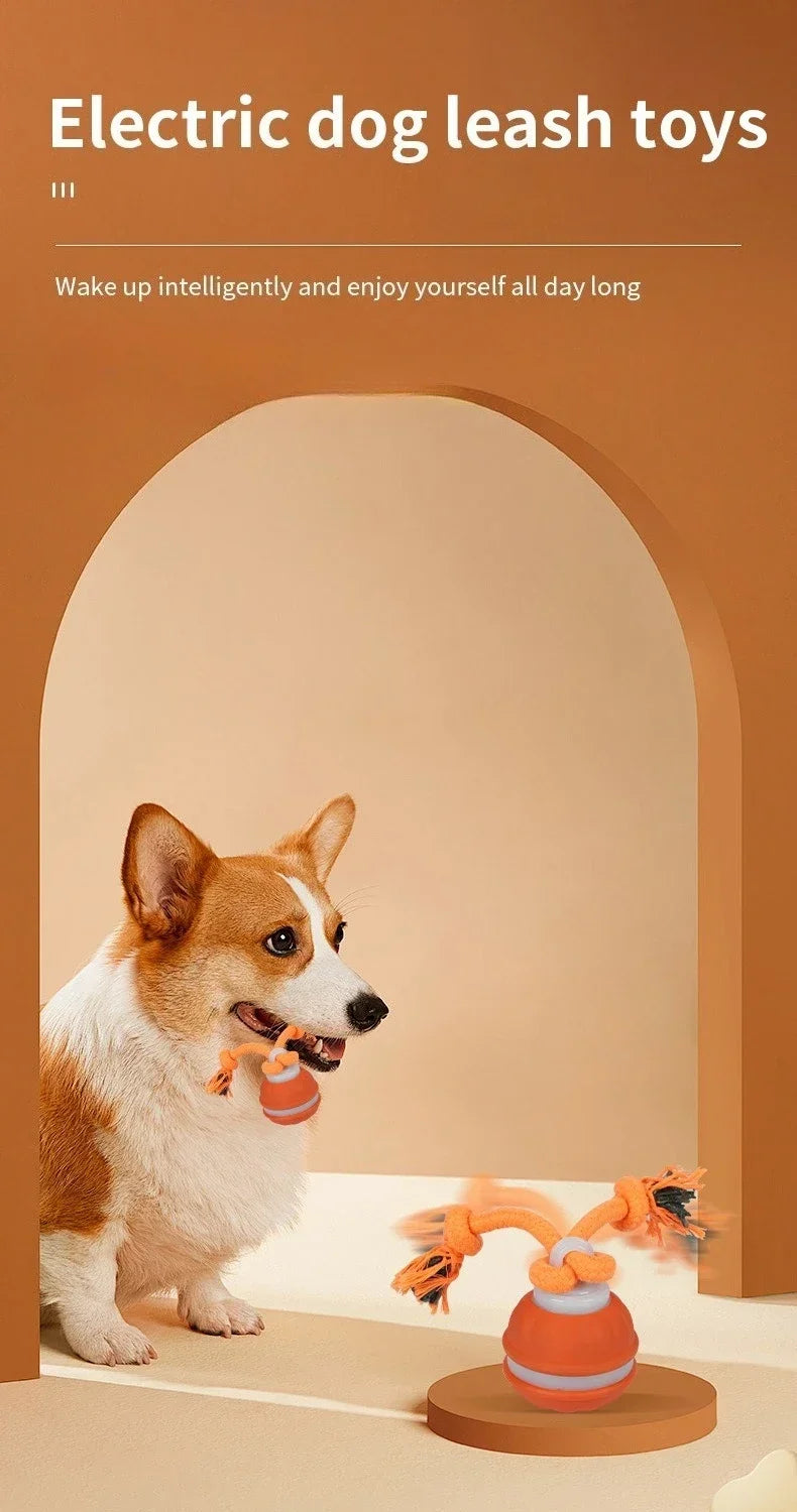 Smart Rolling Ball - Interactive Dog Toy – Pawsdelight