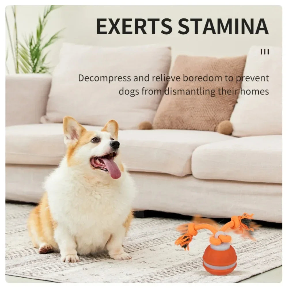 Smart Rolling Ball - Interactive Dog Toy – Pawsdelight